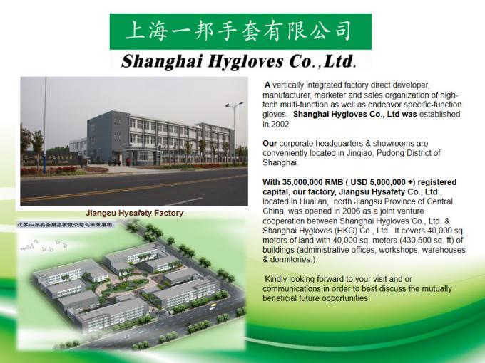 Hysafety Black Needle Resistant Gloves ASTM F2878-10 Leather Search Gloves